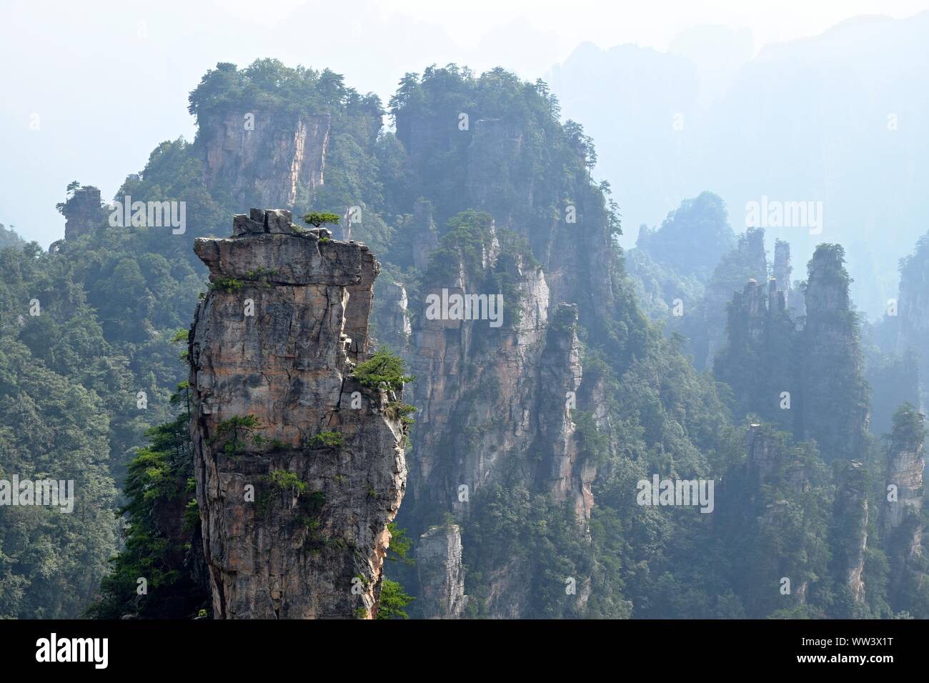 Zhangjiajie the Avatar mountains in Hunan province in China. Thousands ...
