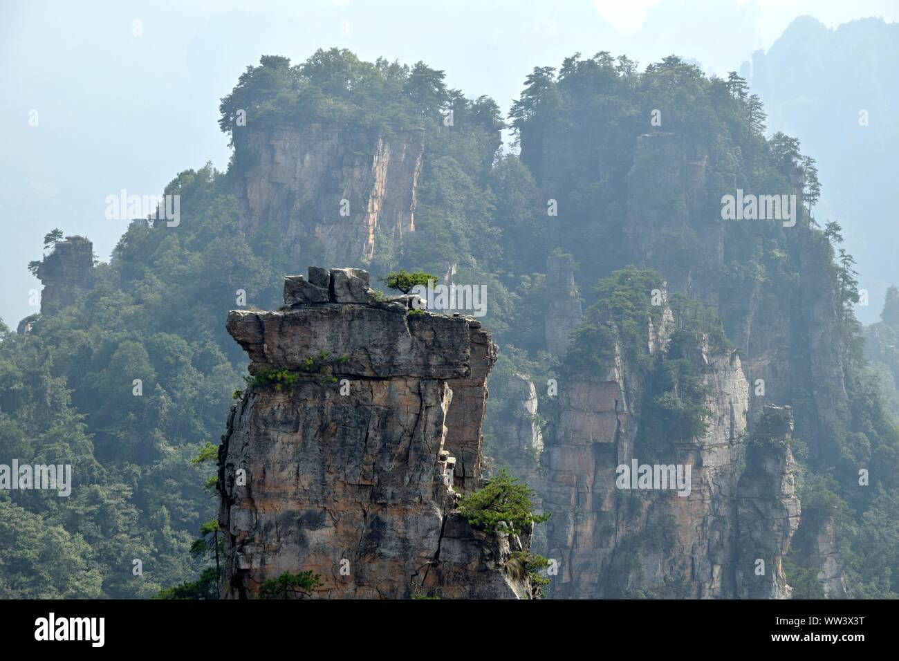 Zhangjiajie the Avatar mountains in Hunan province in China. Thousands ...