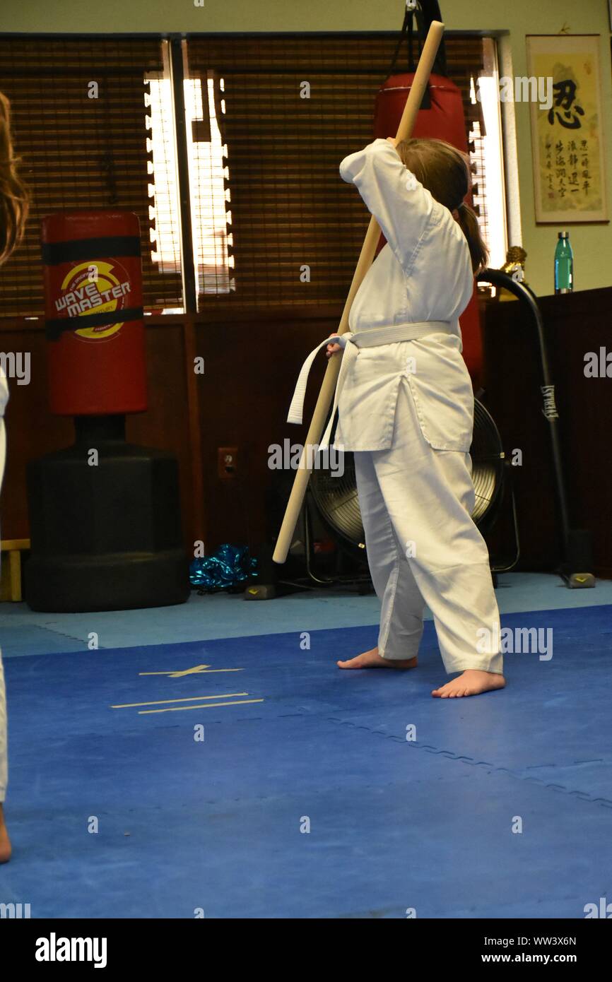 This action photo is of my daughter in her Karate class. Karate is a ...