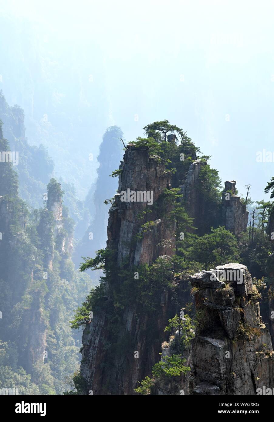Zhangjiajie the Avatar mountains in Hunan province in China. Thousands ...