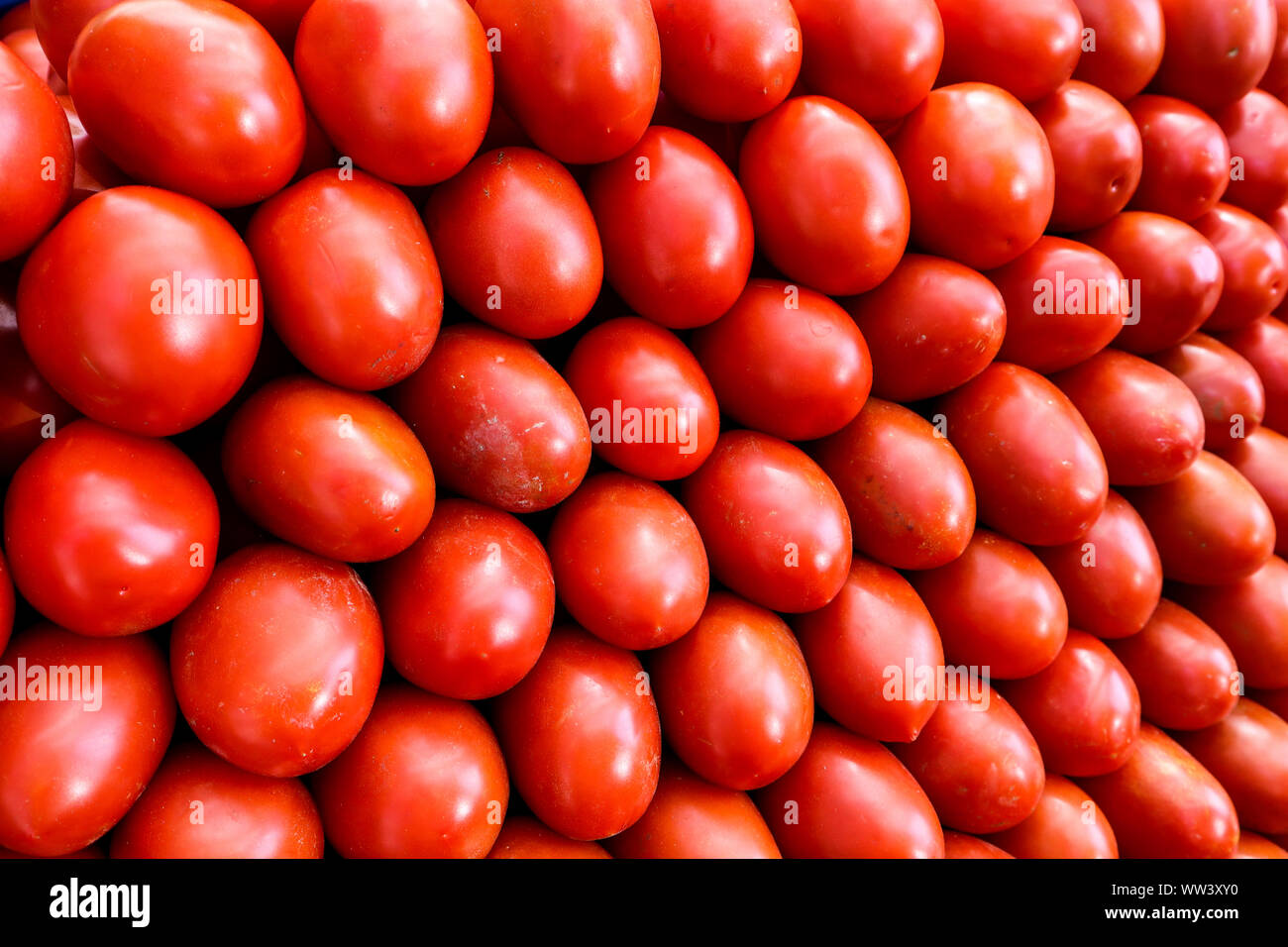 Wall of Red Tomatoes at Market in Mexico City Stock Photo - Alamy