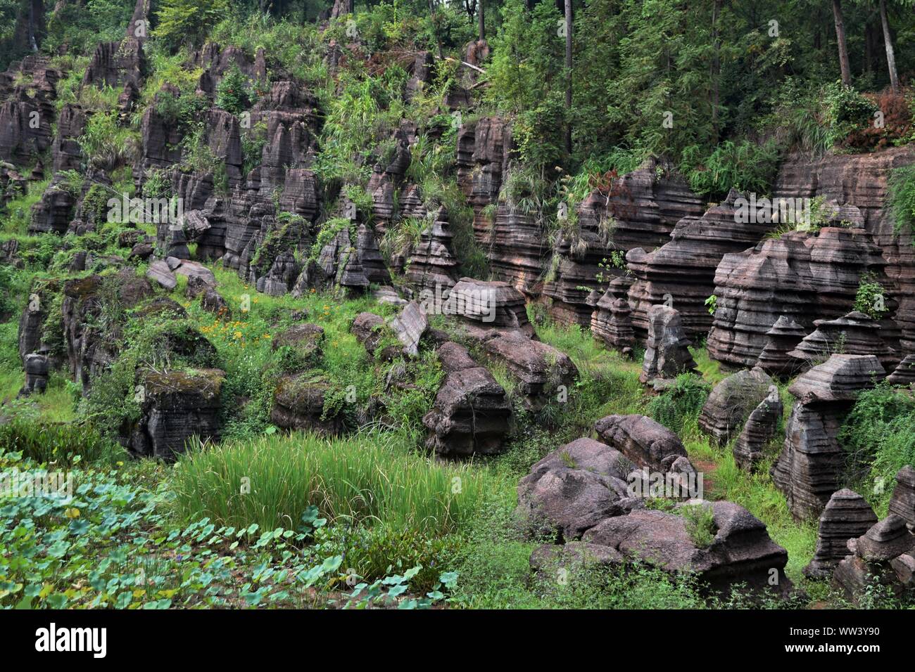 The Red Stone Forest National Geopark, also know as Guzhang Mountain ...