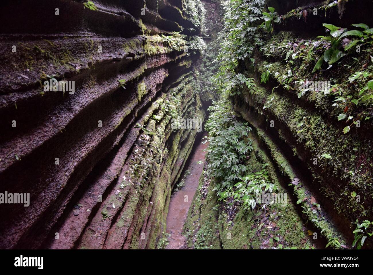 The Red Stone Forest National Geopark, also know as Guzhang Mountain ...