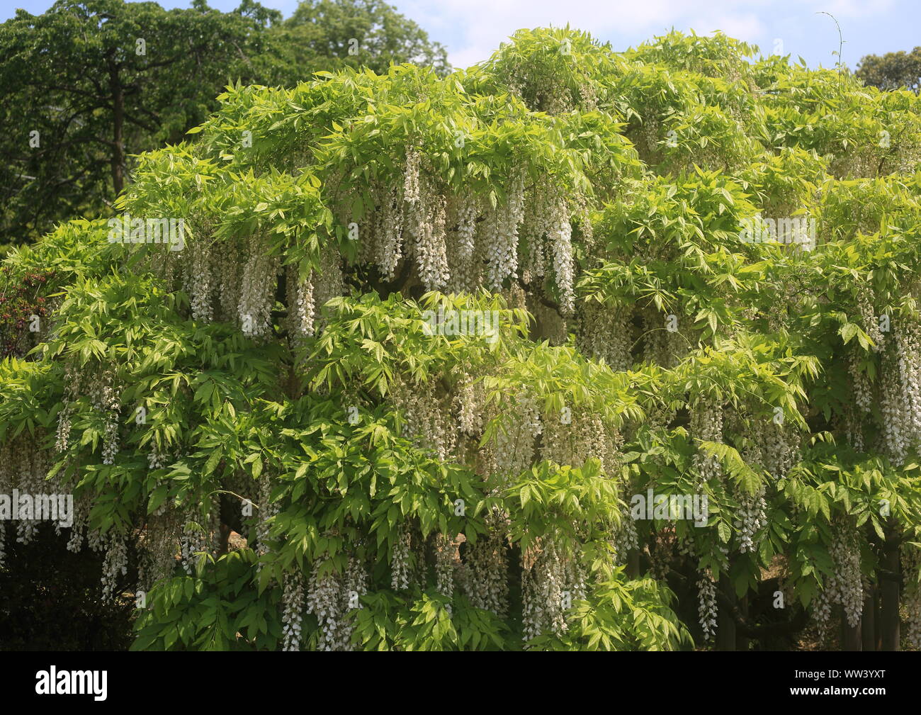High resolution photos of japan hi-res stock photography and images - Alamy