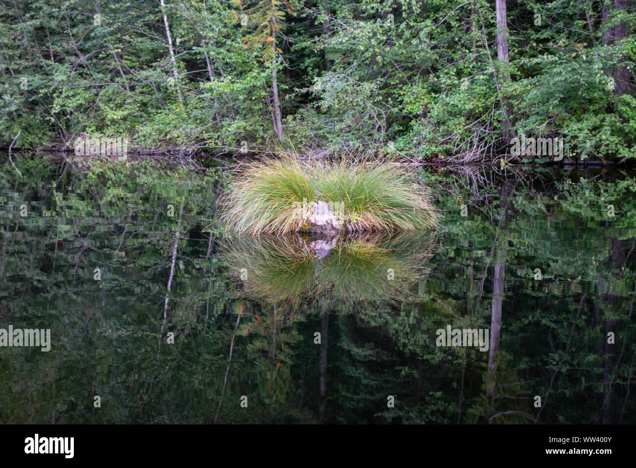 Harper Lake BC Stock Photo - Alamy