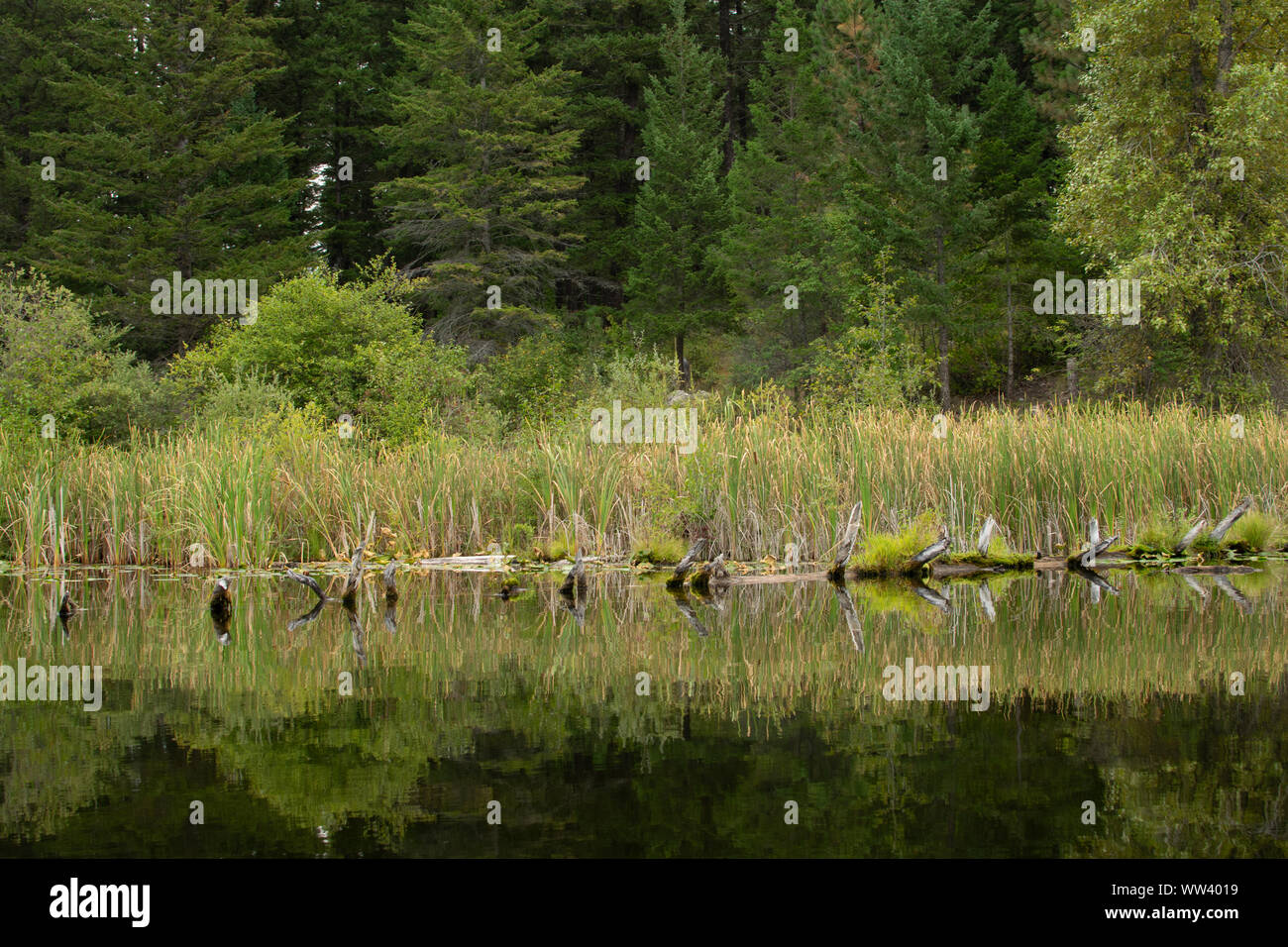 Harper mountain hi-res stock photography and images - Alamy