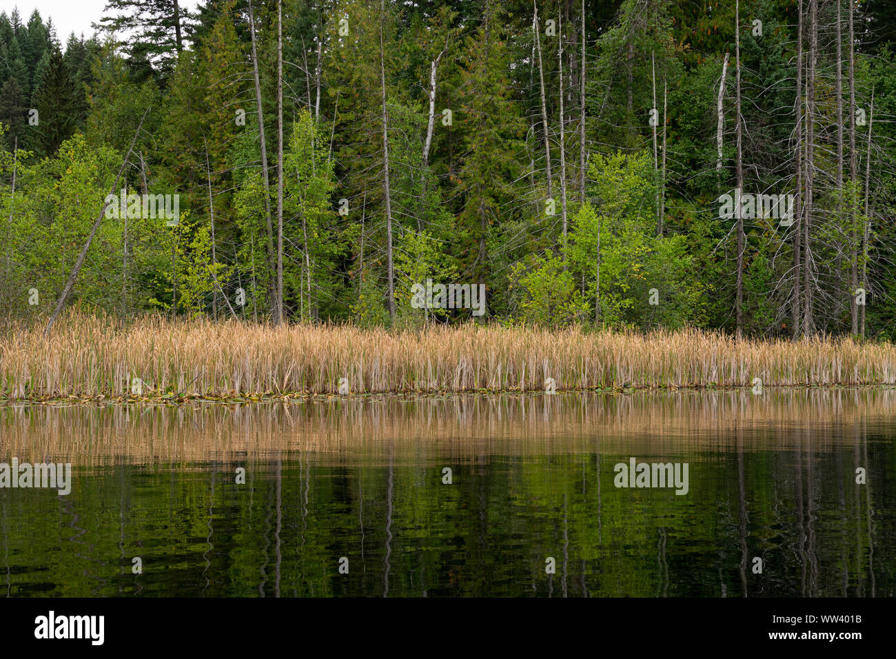Harper Lake BC Stock Photo - Alamy