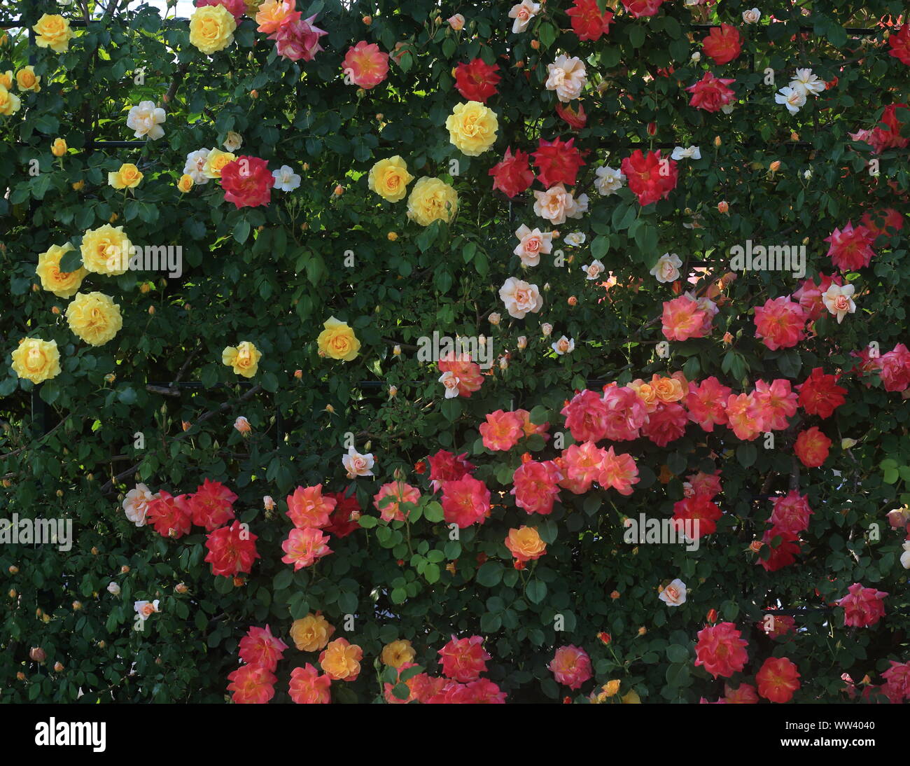 High resolution photos of japan hi-res stock photography and images - Alamy