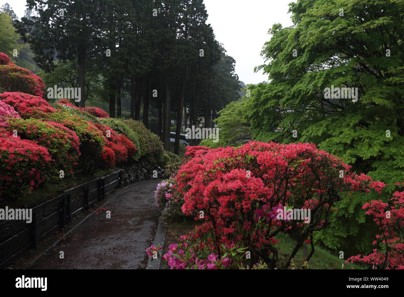 High resolution photos of japan hi-res stock photography and images - Alamy