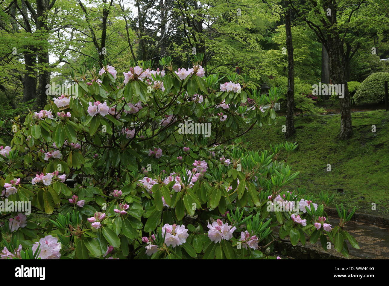 High resolution photos of japan hi-res stock photography and images - Alamy