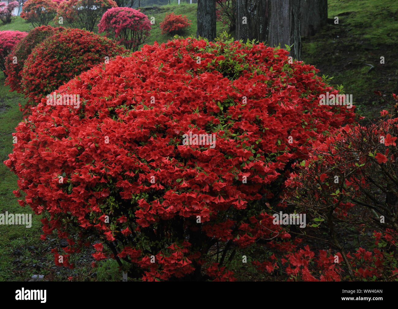 High resolution photos of japan hi-res stock photography and images - Alamy