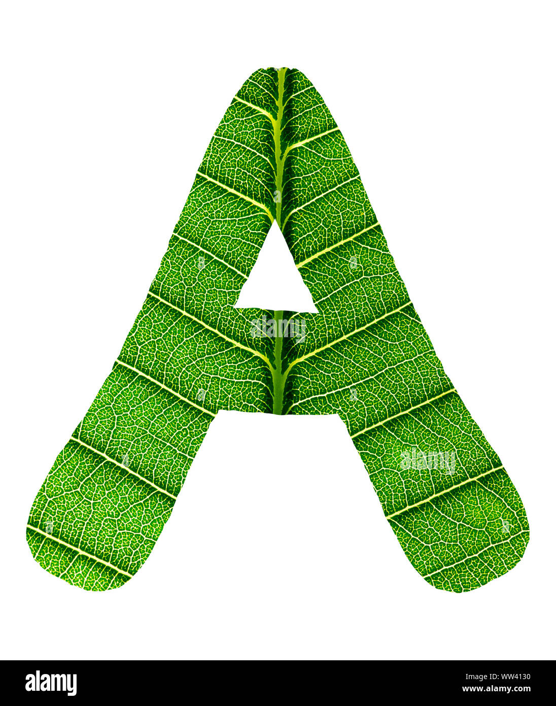 Isolate green leaf texture letter, alphabet on white background ...