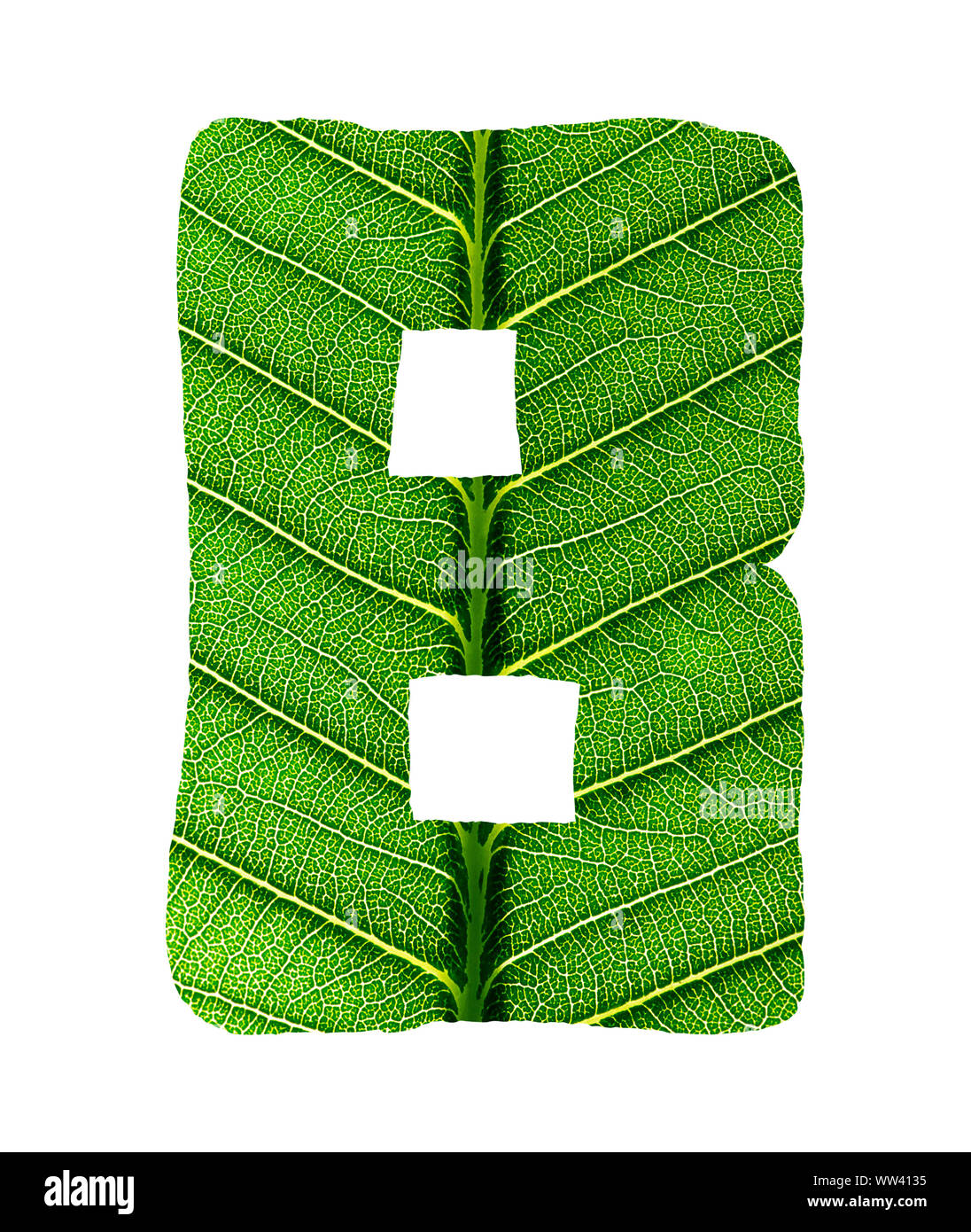 Isolate green leaf texture letter, alphabet on white background ...