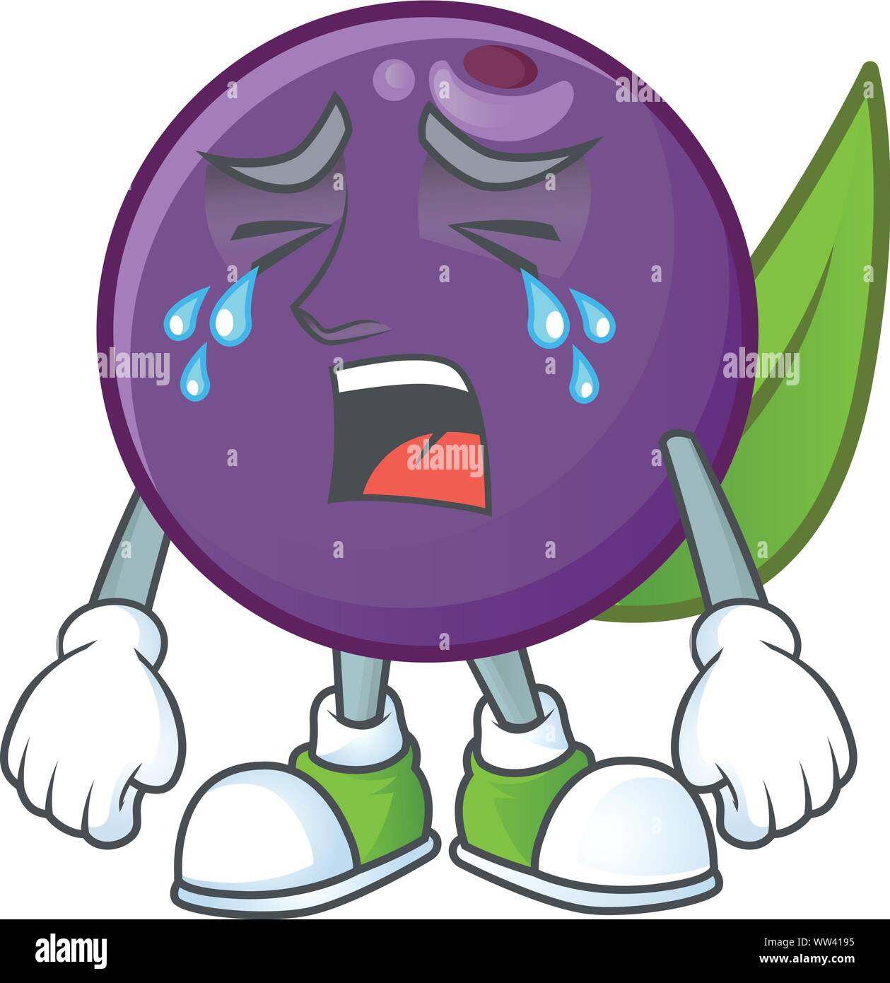 Crying acai berries cartoon character with mascot Stock Vector Image ...