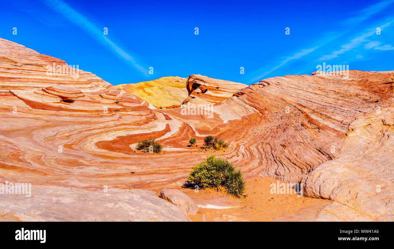 The colorful red, yellow and white banded rock formations of the Fire ...