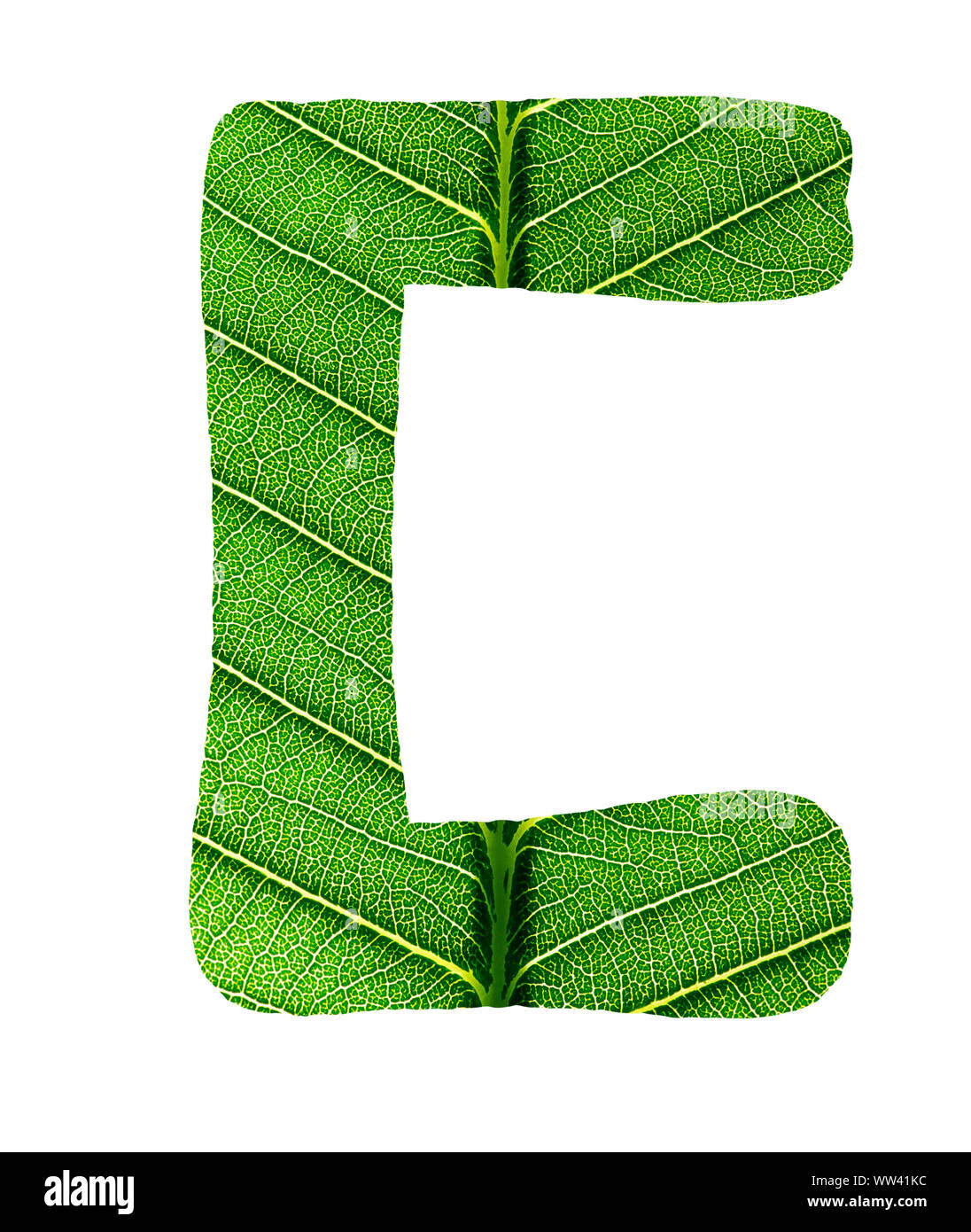 Isolate green leaf texture letter, alphabet on white background ...