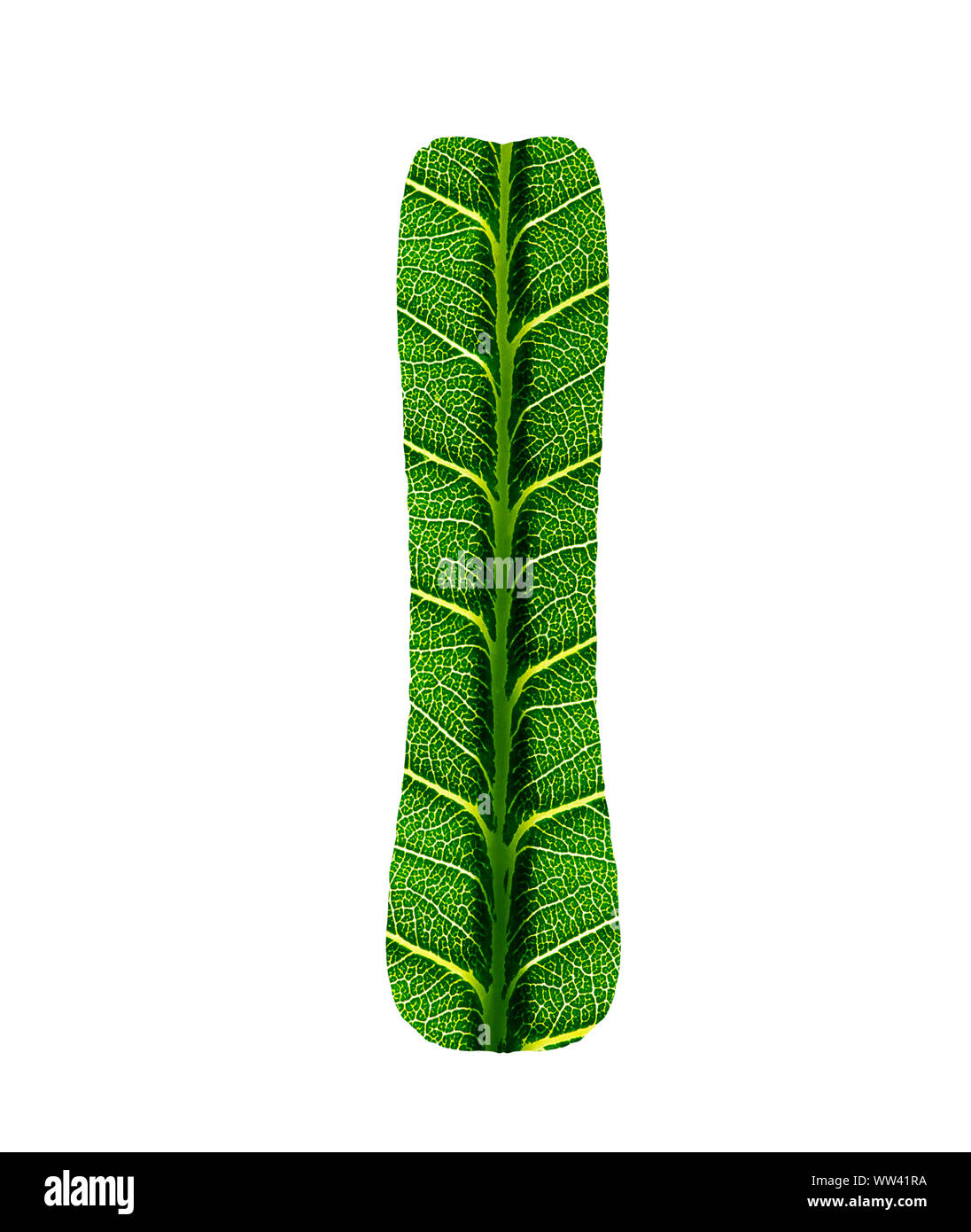 Isolate green leaf texture letter, alphabet on white background ...