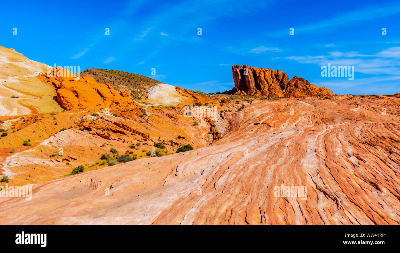 The colorful red, yellow and white banded rock formations of the Fire ...