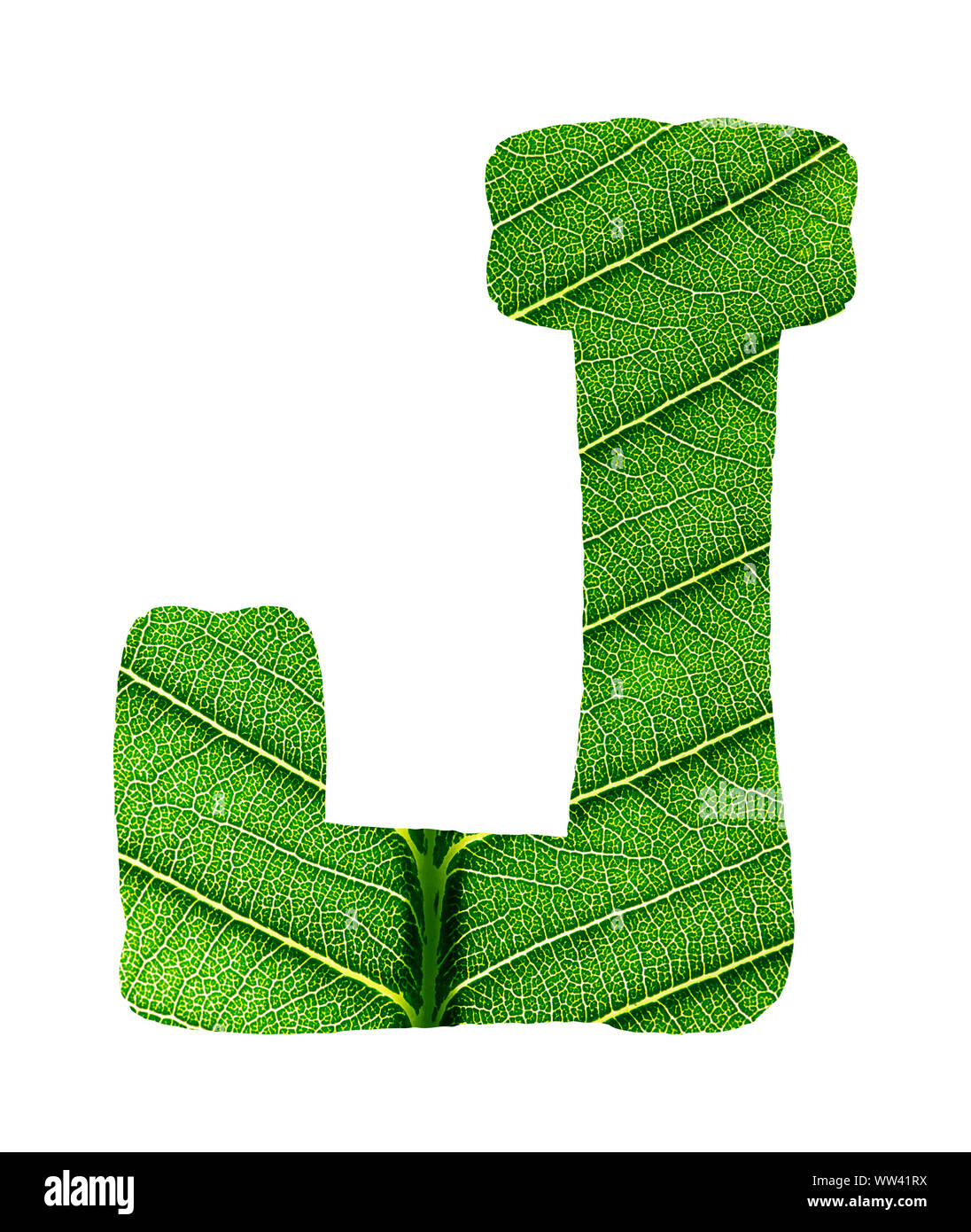 Isolate green leaf texture letter, alphabet on white background ...