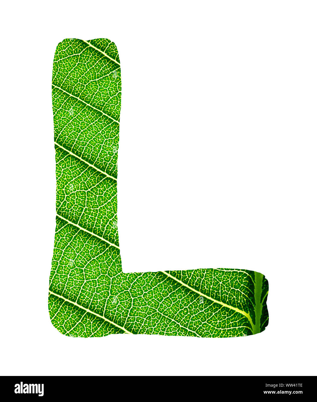 Isolate green leaf texture letter, alphabet on white background ...