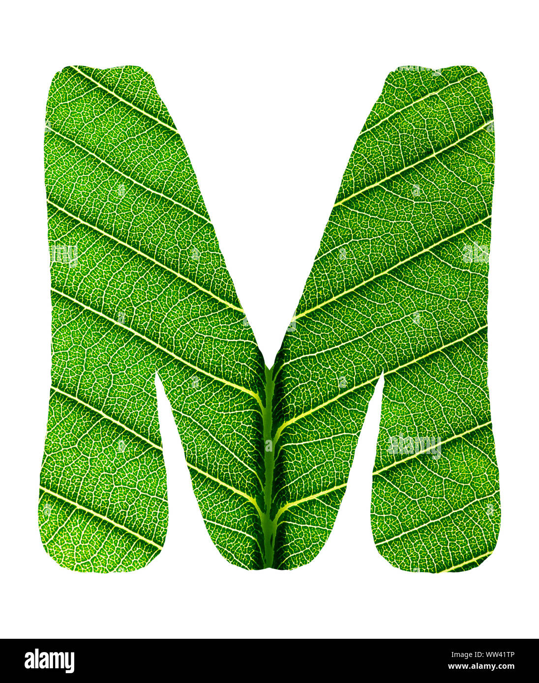 Isolate green leaf texture letter, alphabet on white background ...