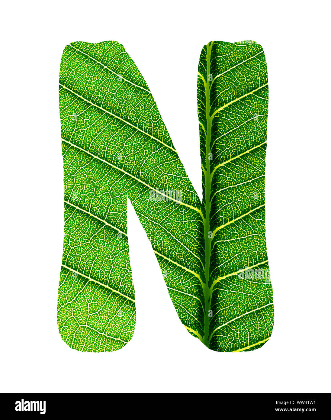 Isolate green leaf texture letter, alphabet on white background ...