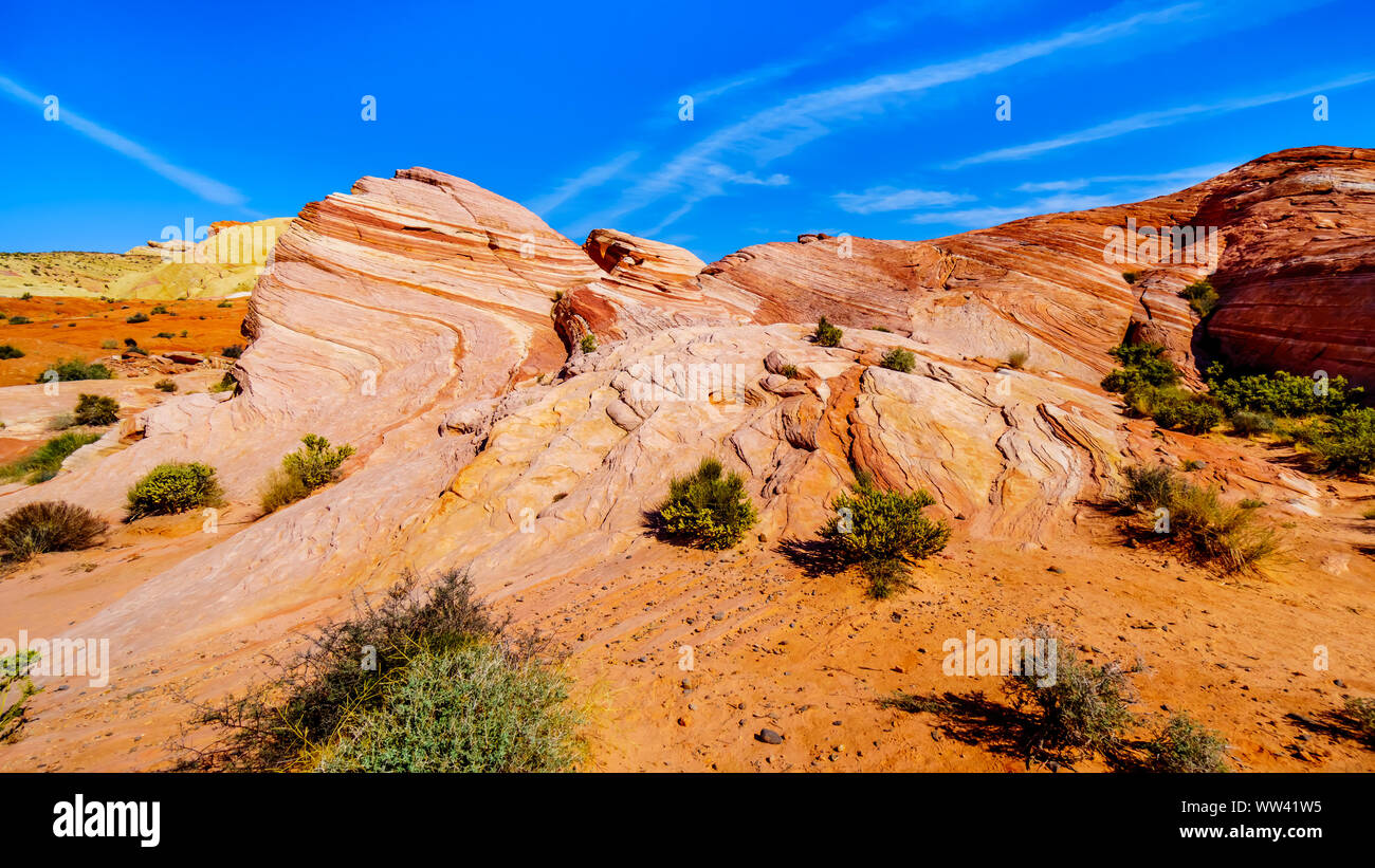 The colorful red, yellow and white banded rock formations of the Fire ...