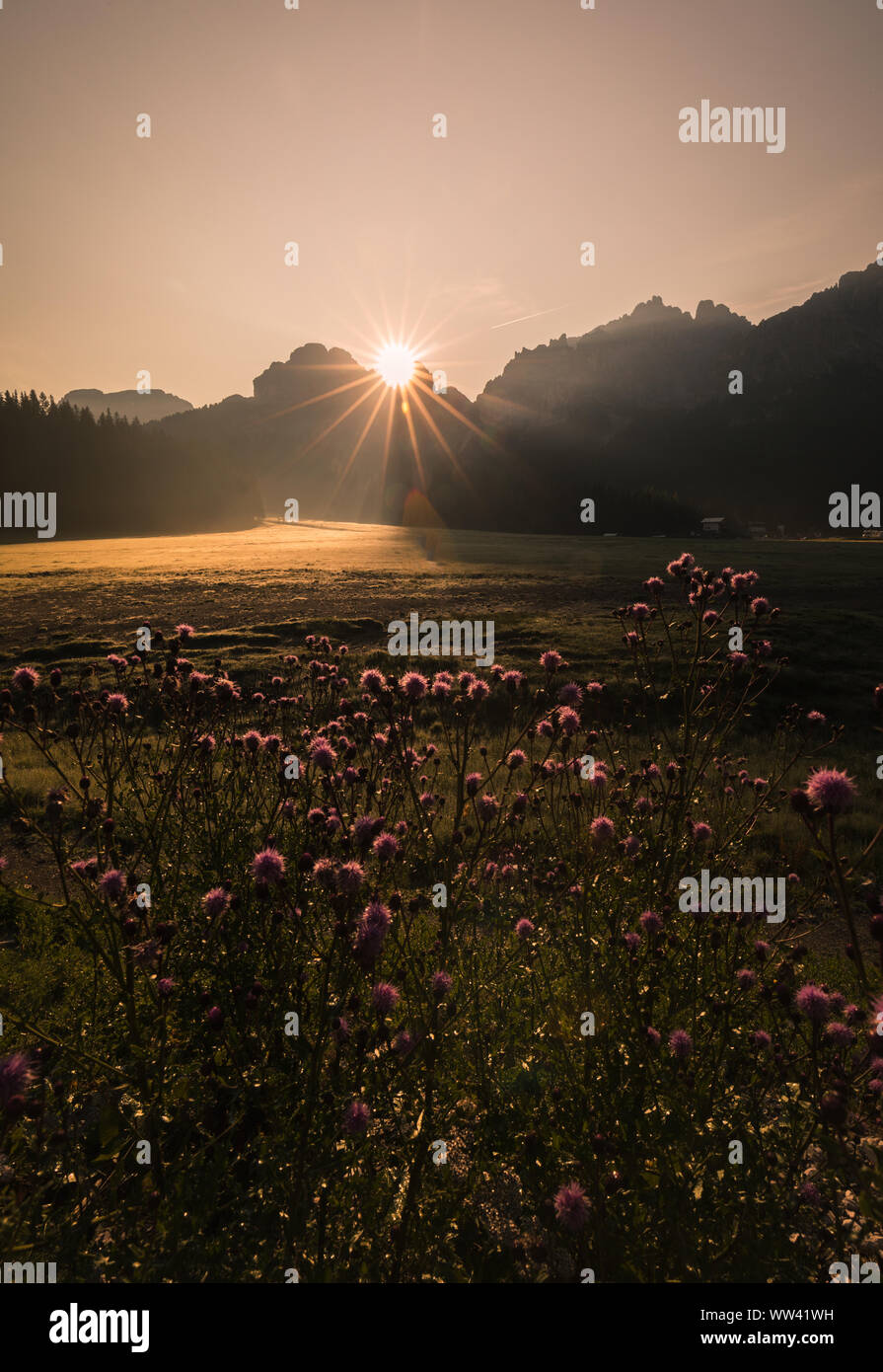Flare flares fog hi-res stock photography and images - Alamy