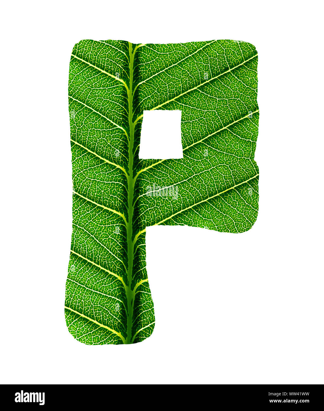 Isolate green leaf texture letter, alphabet on white background ...