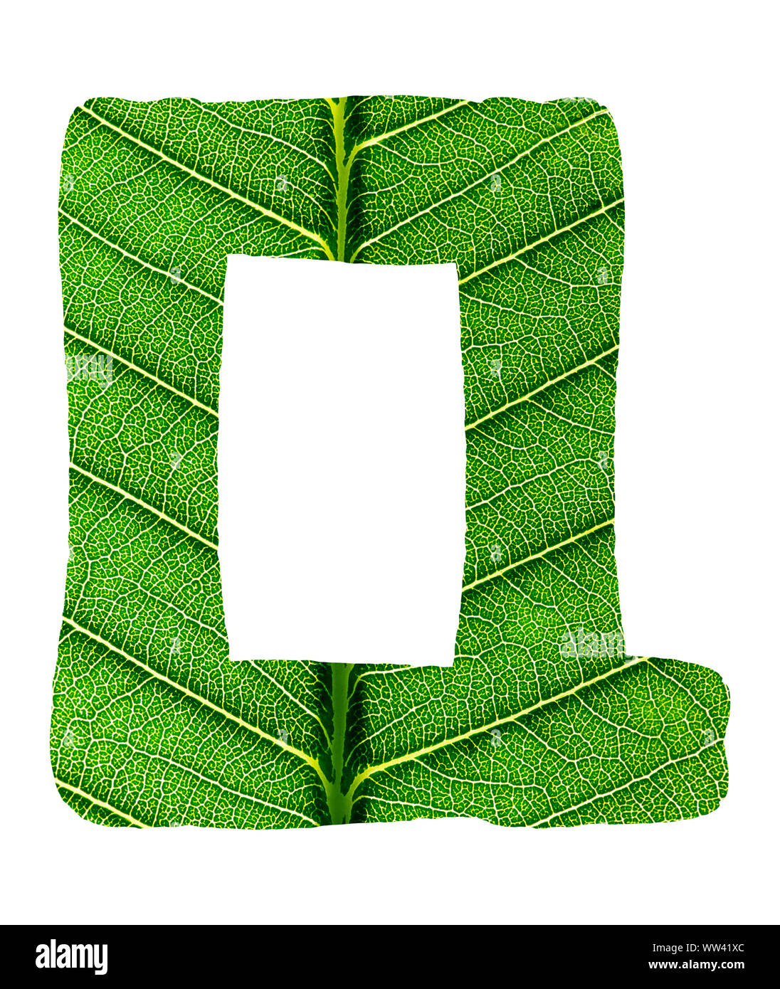 Isolate green leaf texture letter, alphabet on white background ...
