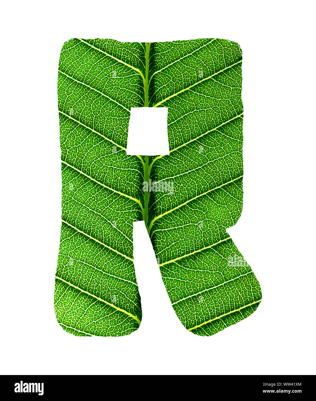 Isolate green leaf texture letter, alphabet on white background ...