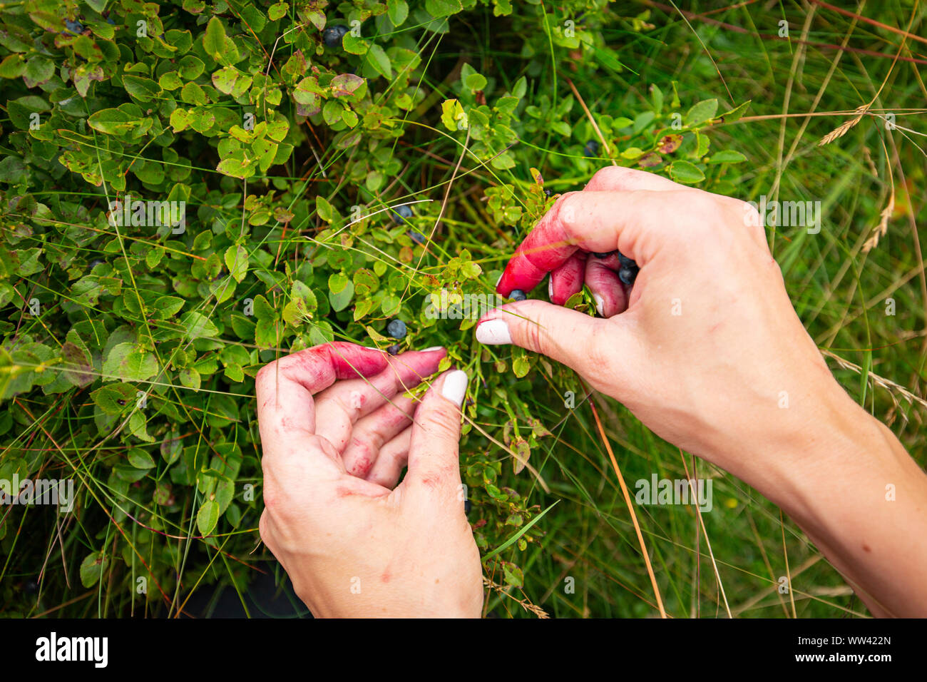 Woman on pick mountain hi-res stock photography and images - Alamy