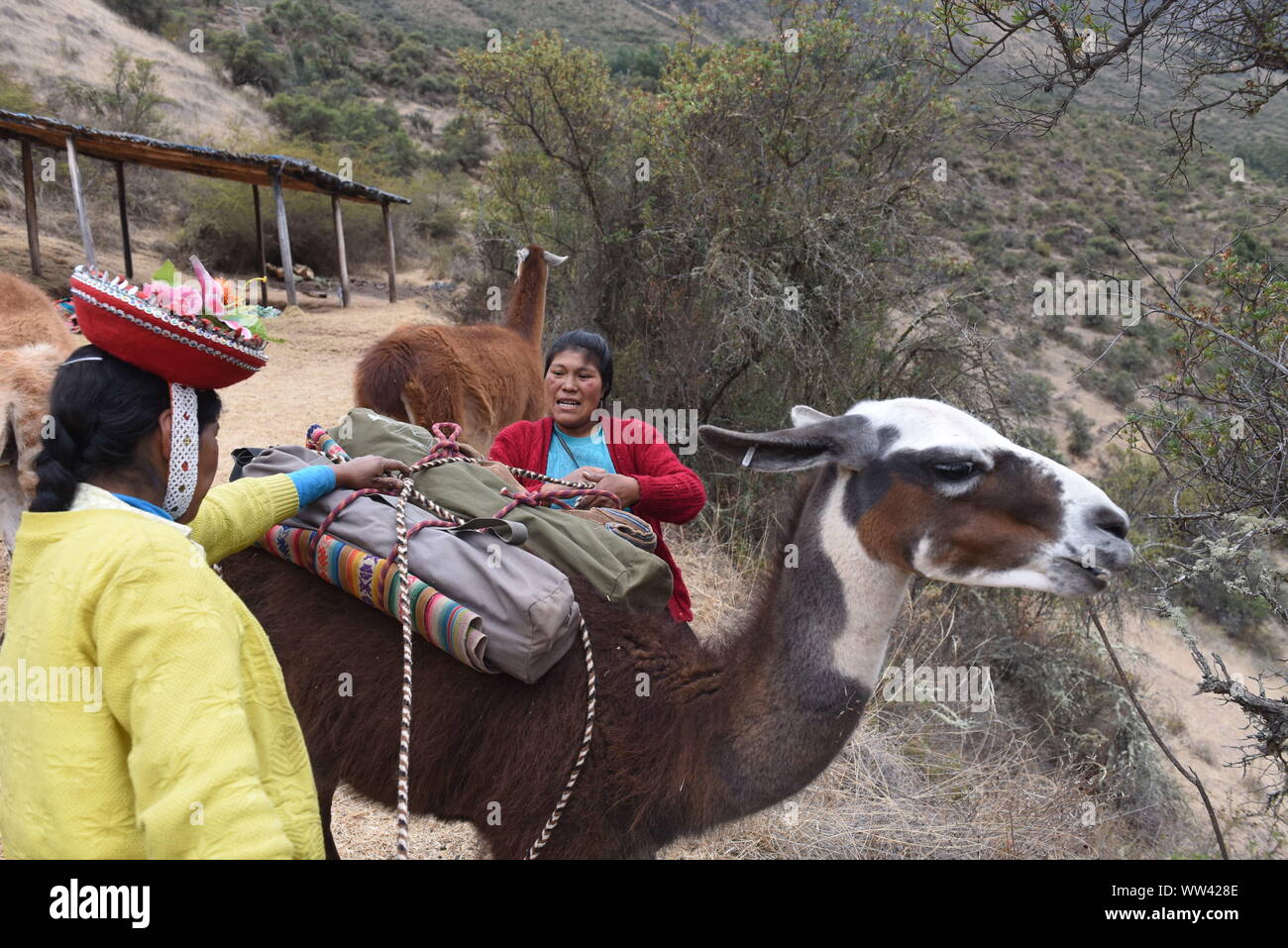 Inca families hi-res stock photography and images - Alamy