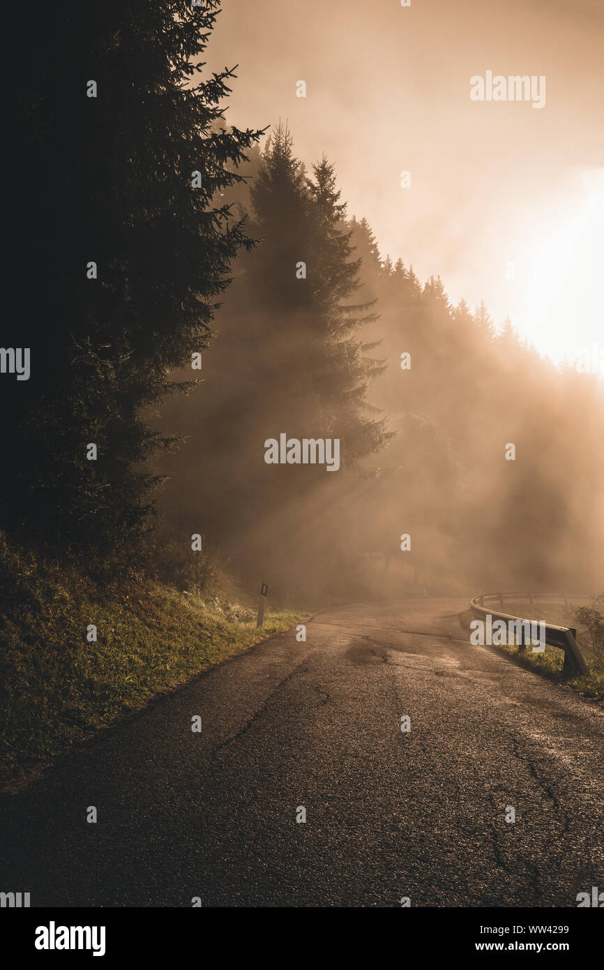 Mist rain road sunrise hi-res stock photography and images - Alamy