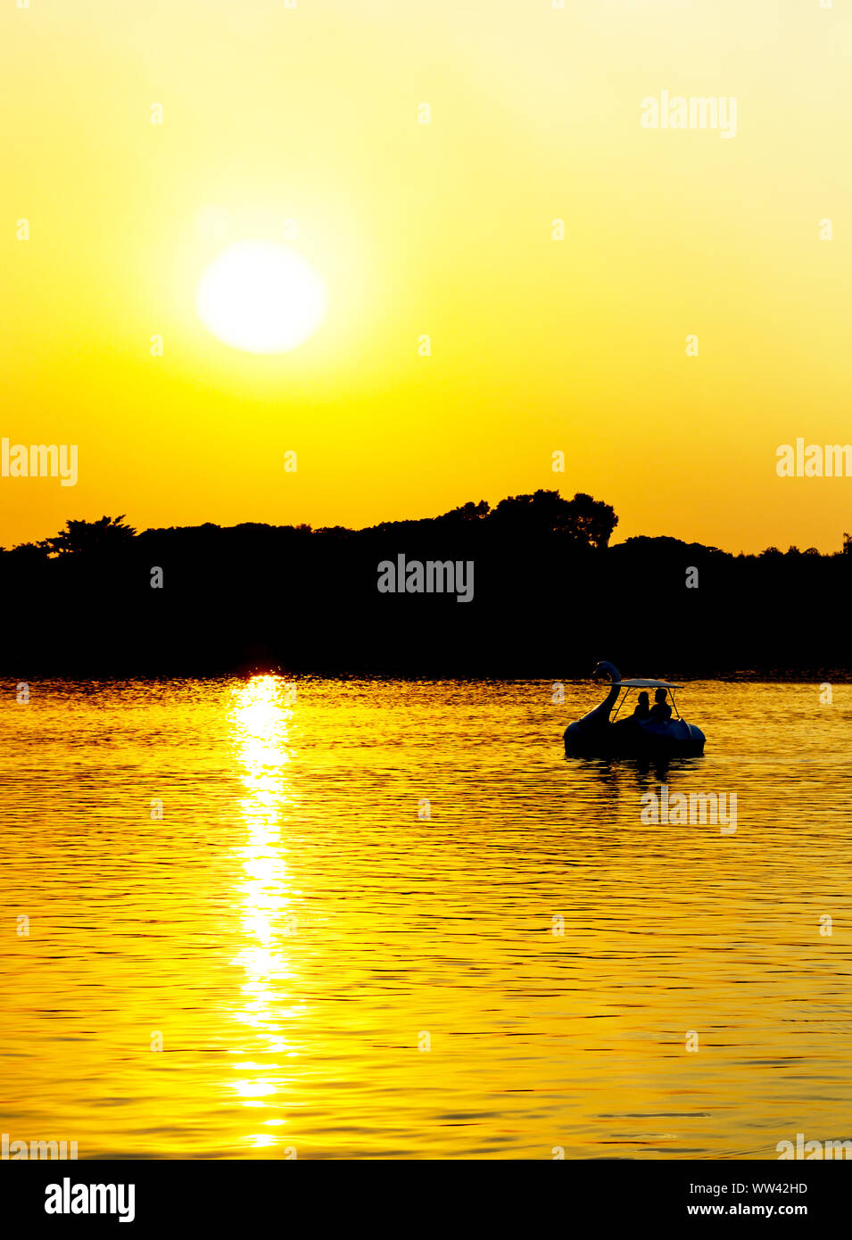 Silhouette a couple on swan boat in the lake, love and romantic concept ...