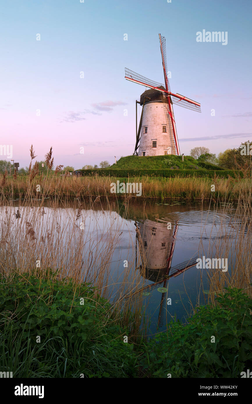 Windmill damme hi-res stock photography and images - Alamy