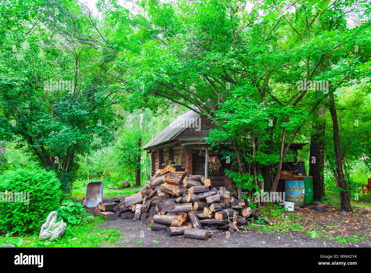 A small house, a hut in a green forest with trees near a pile of ...