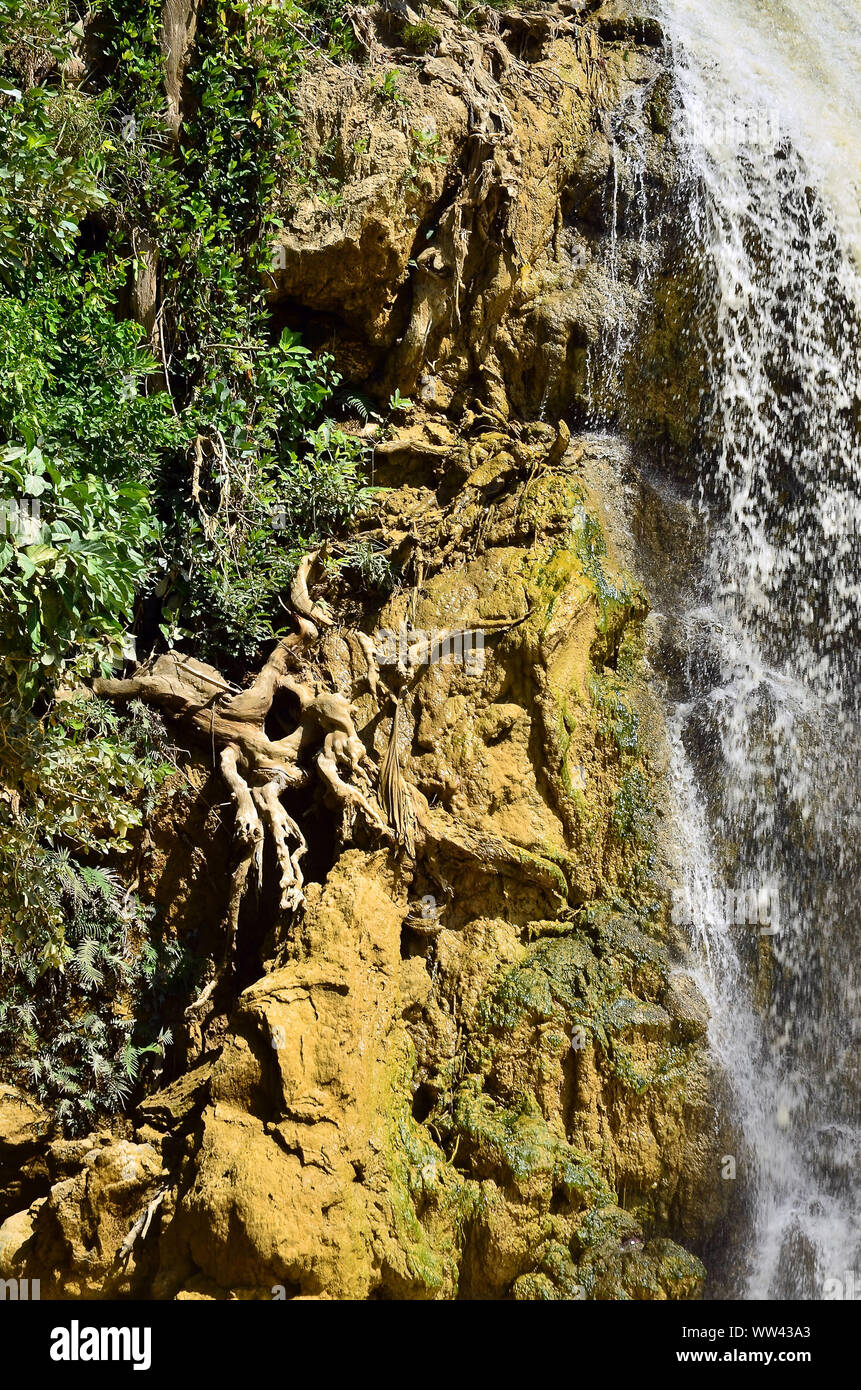 the roots are on the beach cliffs, Toroan Waterfall - East Java ...