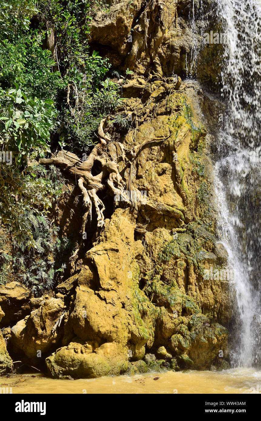 the roots are on the beach cliffs, Toroan Waterfall - East Java ...