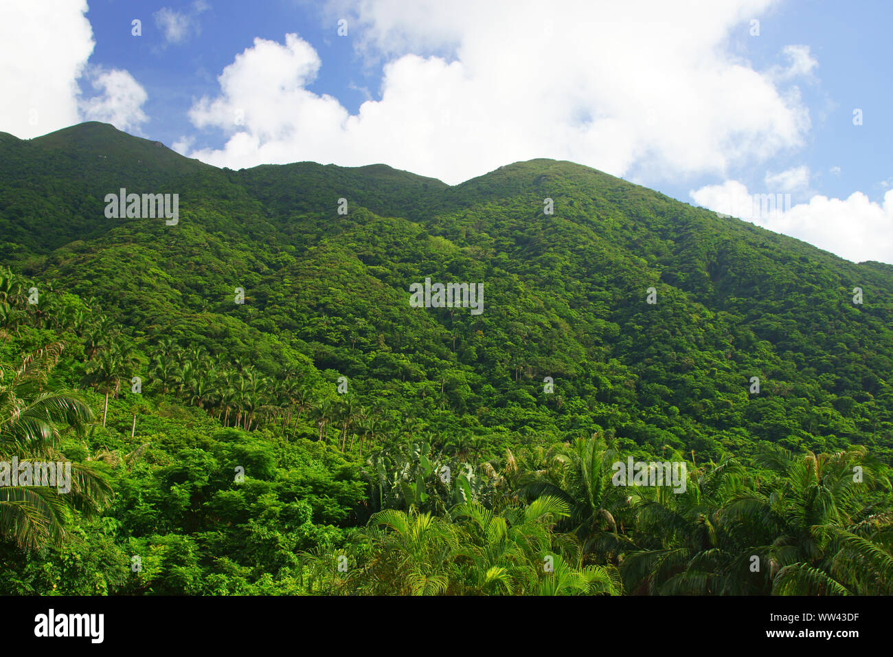 Maibara hi-res stock photography and images - Alamy