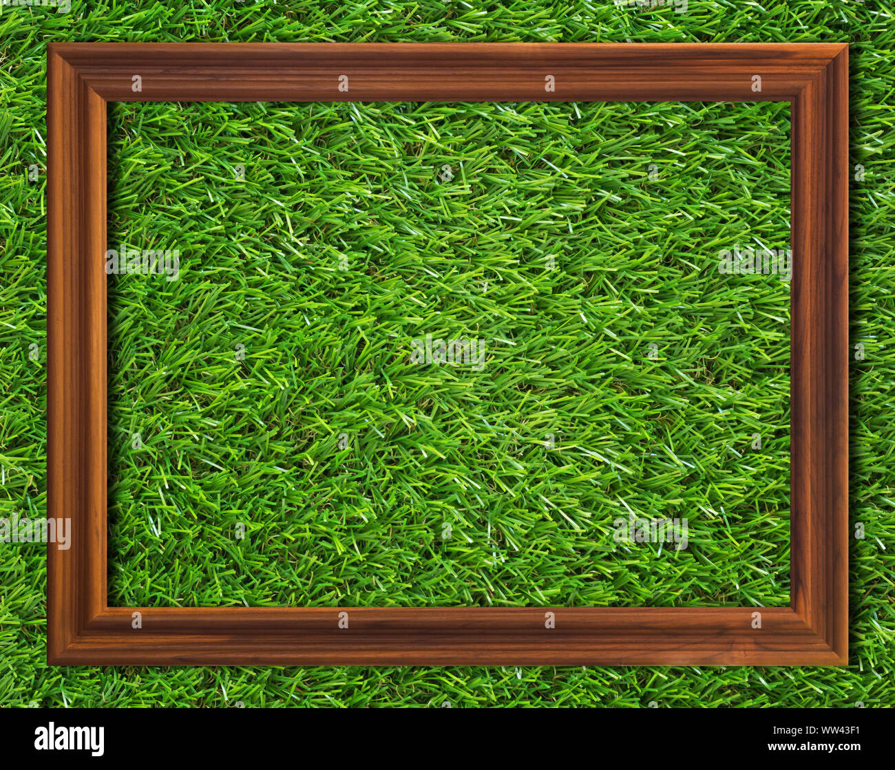 Creative wooden frame on green grass background, nature concept Stock ...