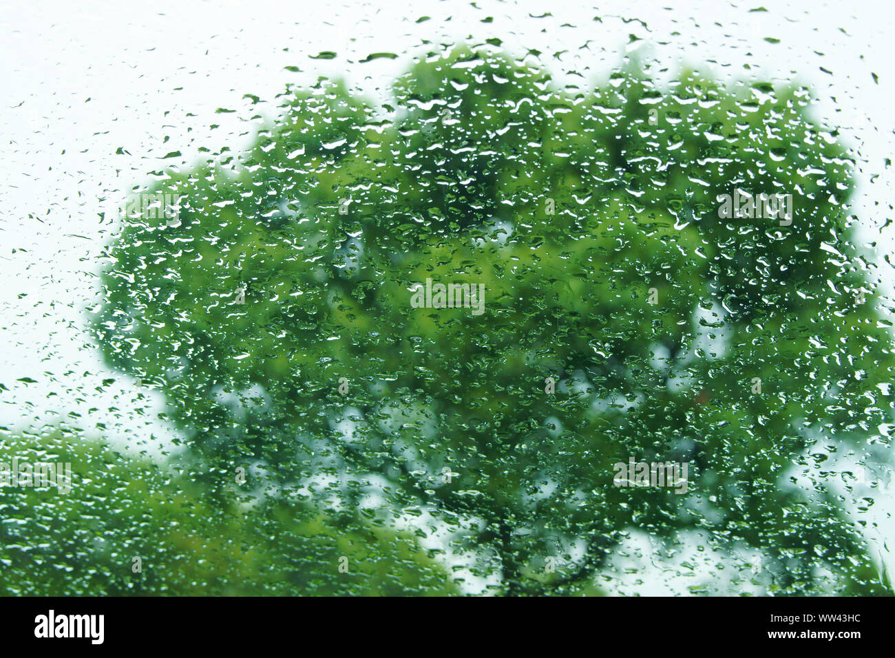 Rainy park through glass window Stock Photo - Alamy