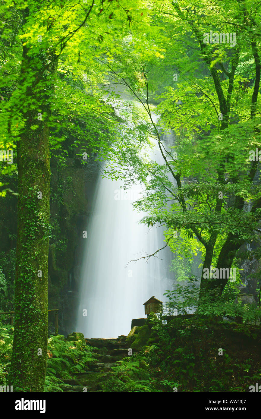 Shiraito Waterfall, Kumamoto Prefecture, Japan Stock Photo - Alamy