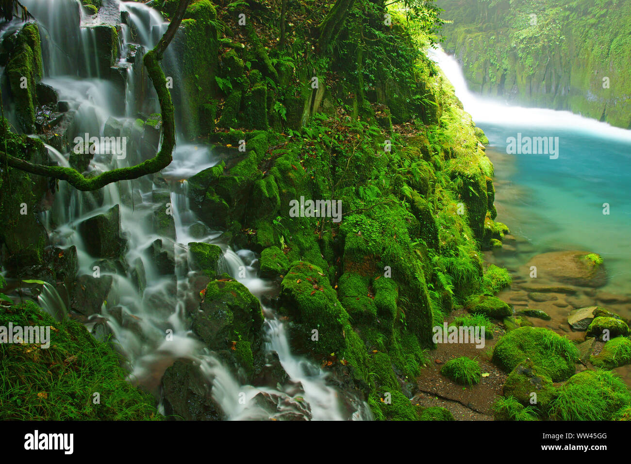 Kikuchi Gorge, Kumamoto Prefecture, Japan Stock Photo - Alamy