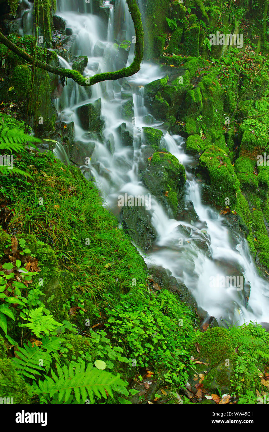 Kikuchi Gorge, Kumamoto Prefecture, Japan Stock Photo - Alamy