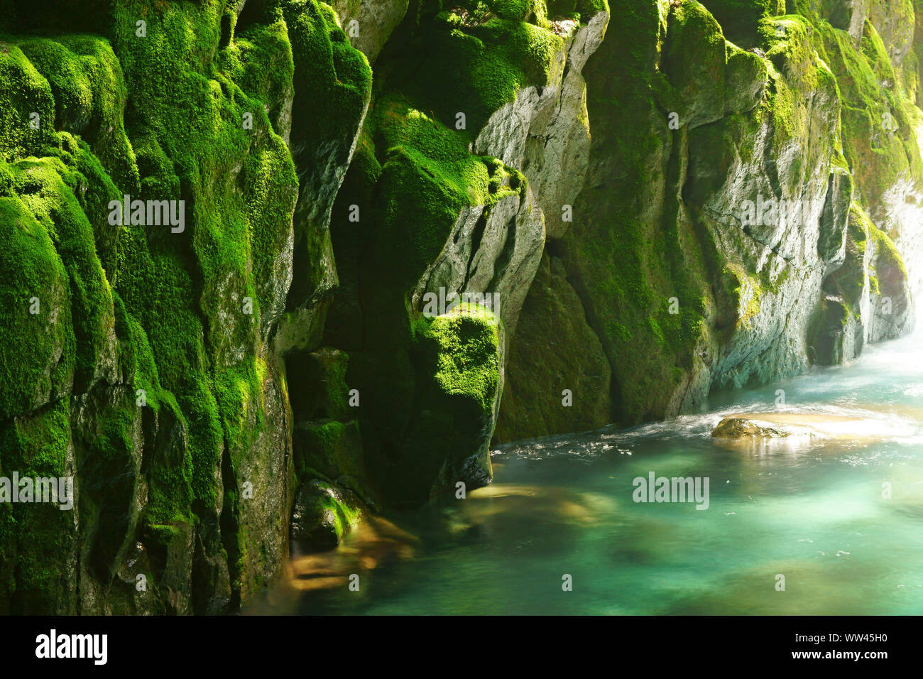 Kikuchi Gorge, Kumamoto Prefecture, Japan Stock Photo - Alamy