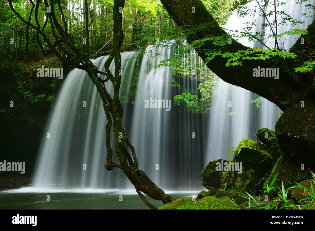 Nabegataki waterfall waterfall oguni kumamoto hi-res stock photography ...