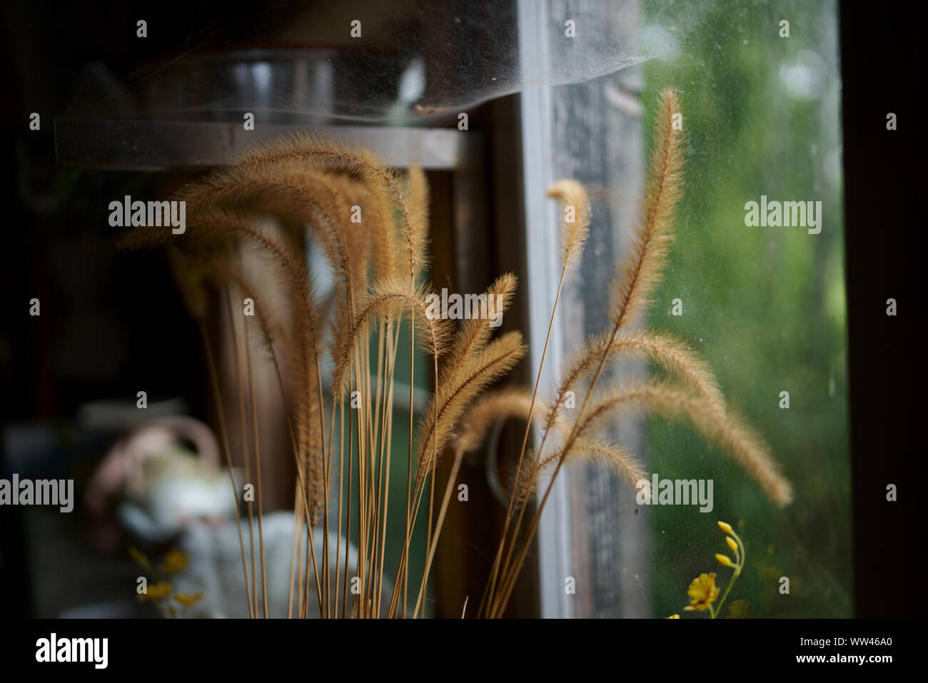 Kamikawa subprefecture window hi-res stock photography and images - Alamy