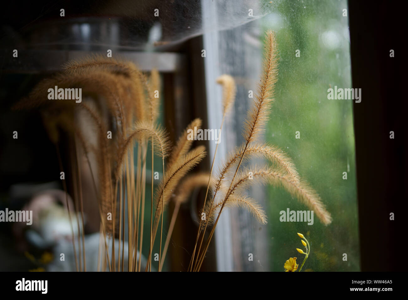 Kamikawa subprefecture window hi-res stock photography and images - Alamy