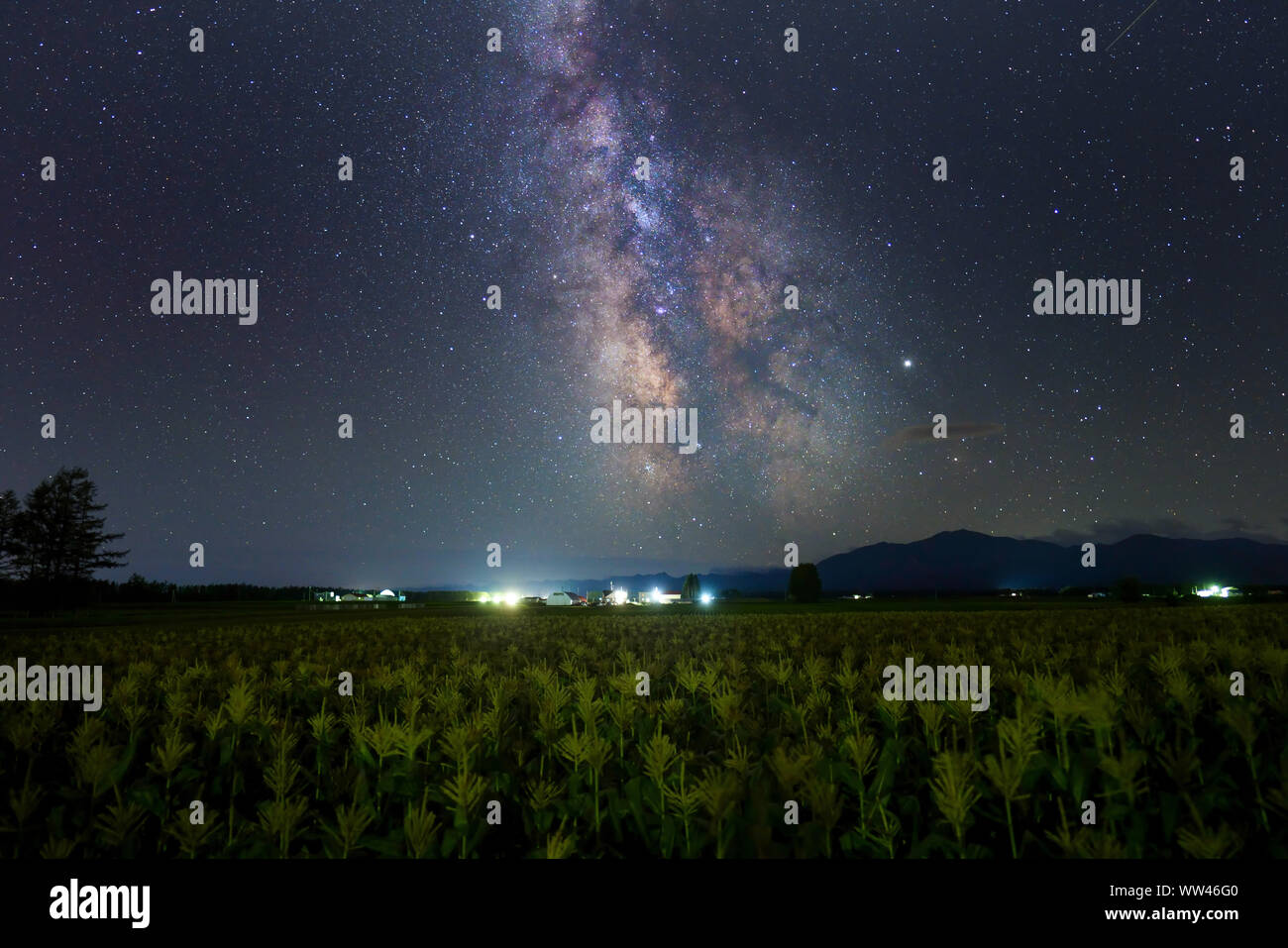 Solar star solar farm hi-res stock photography and images - Alamy